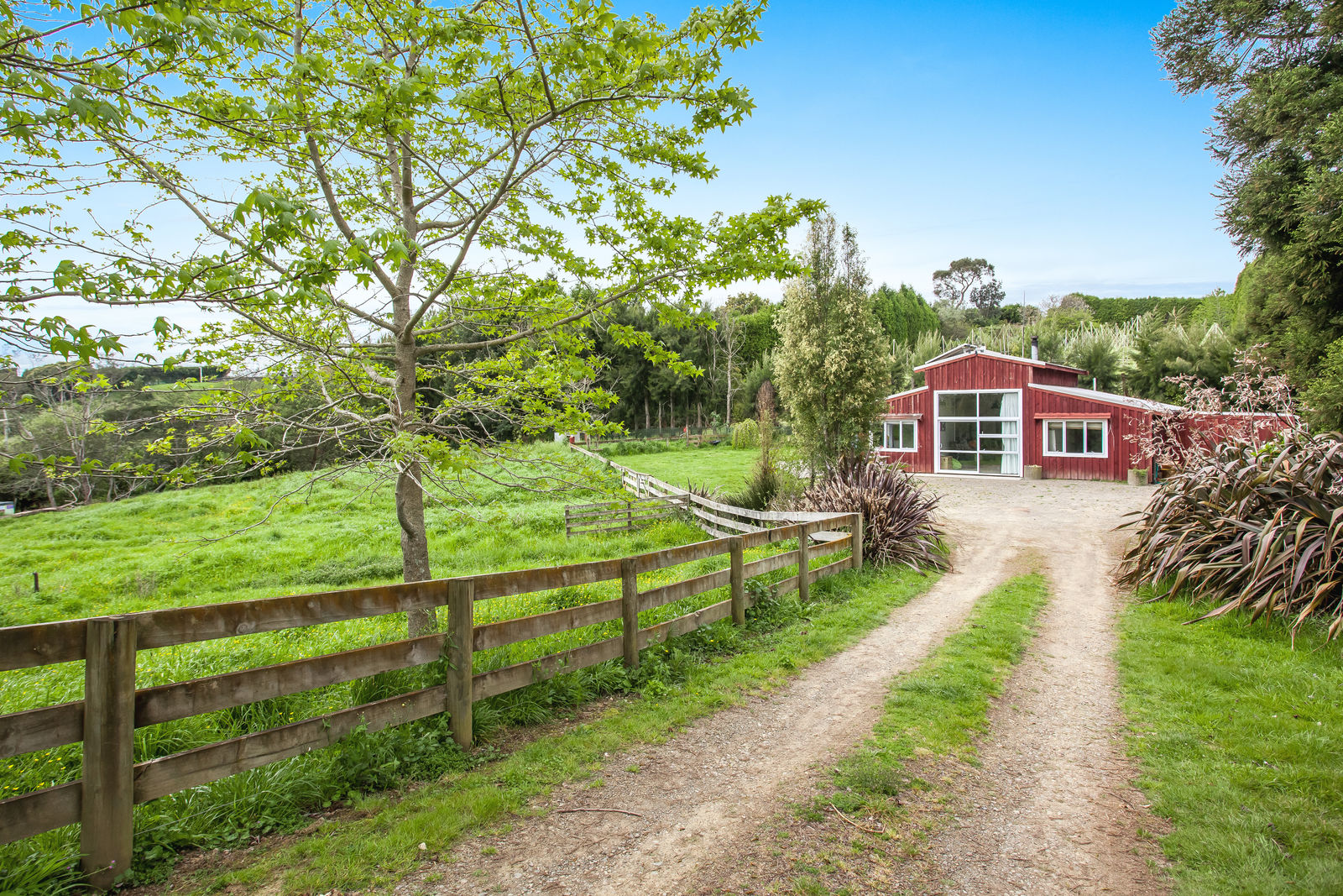 ID#381409 - Paerata Ridge, Opotiki District - Open2view