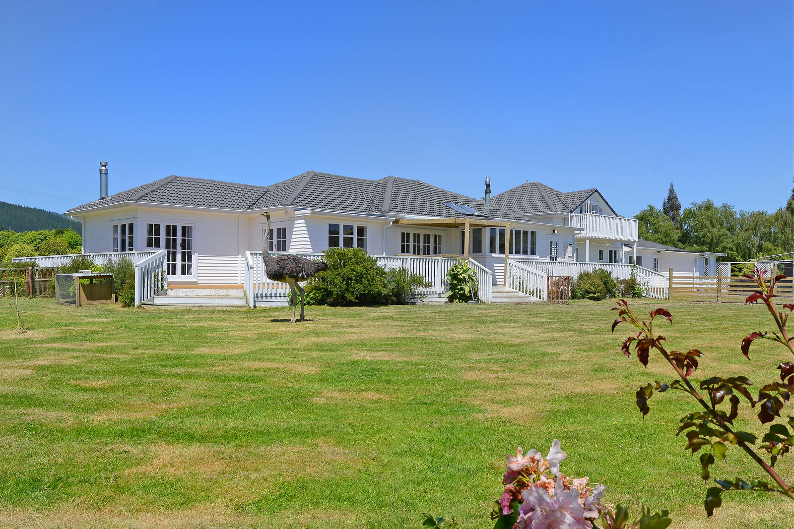 ID#384553 - Mangaroa Valley, Upper Hutt - Open2view